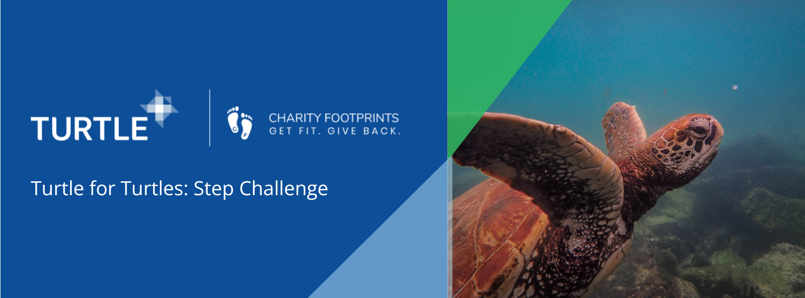 Team Page | Charity Footprints